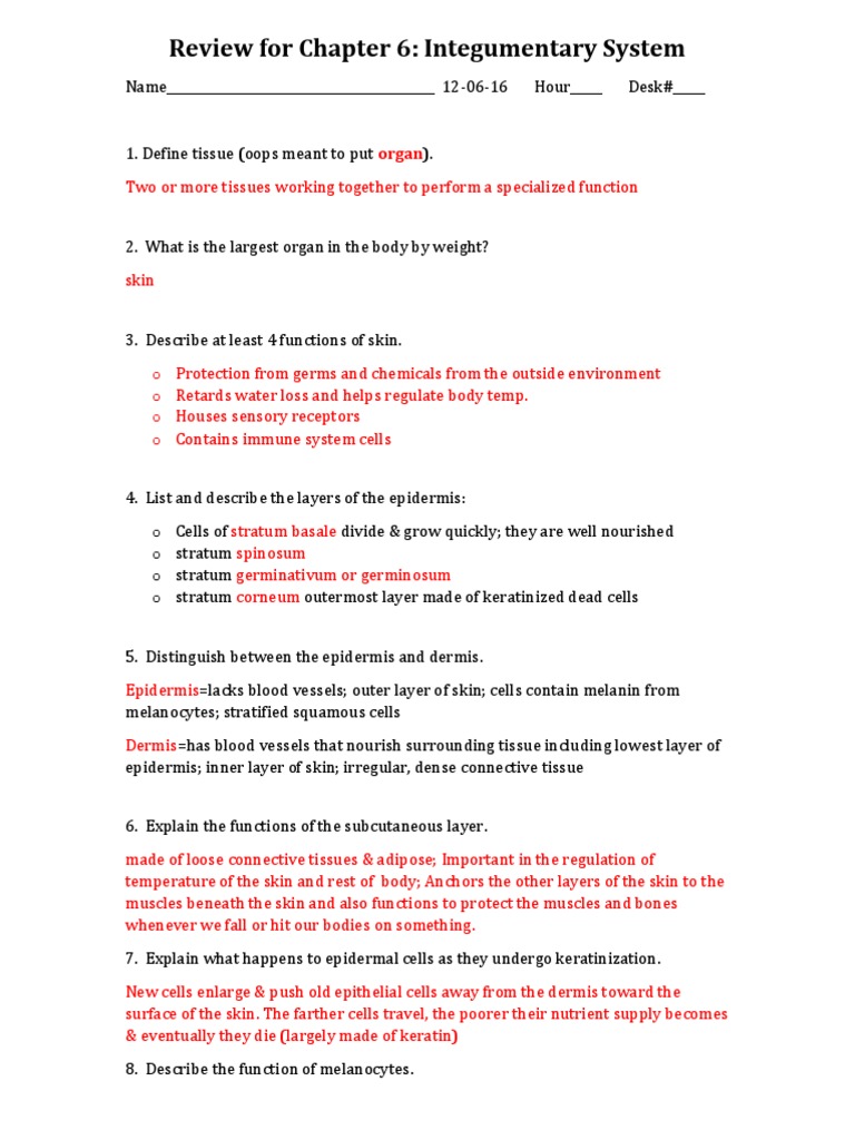 Integumentary System Practice Qs 2 | PDF | Skin | Integumentary System
