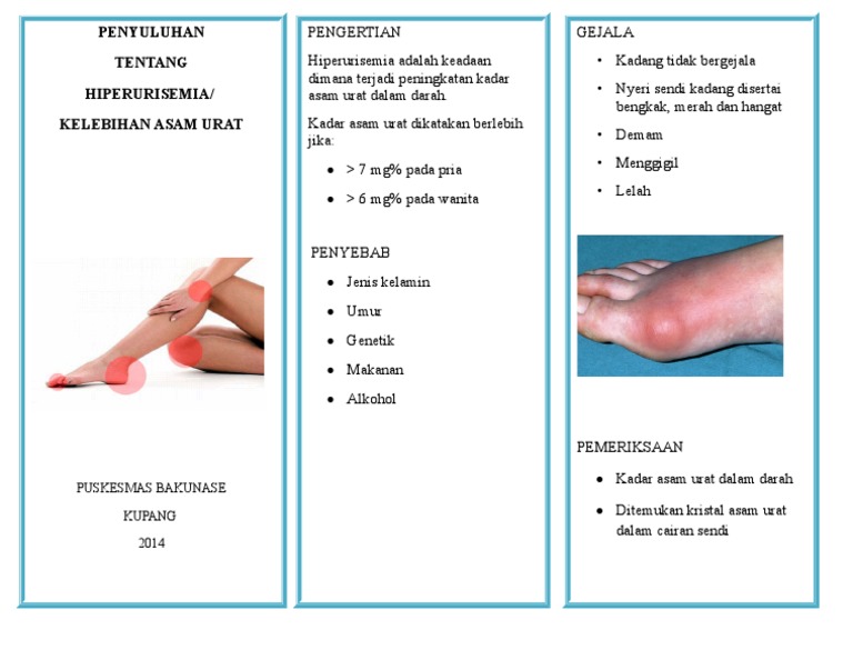 Leaflet 2 Hiperurisemia | PDF