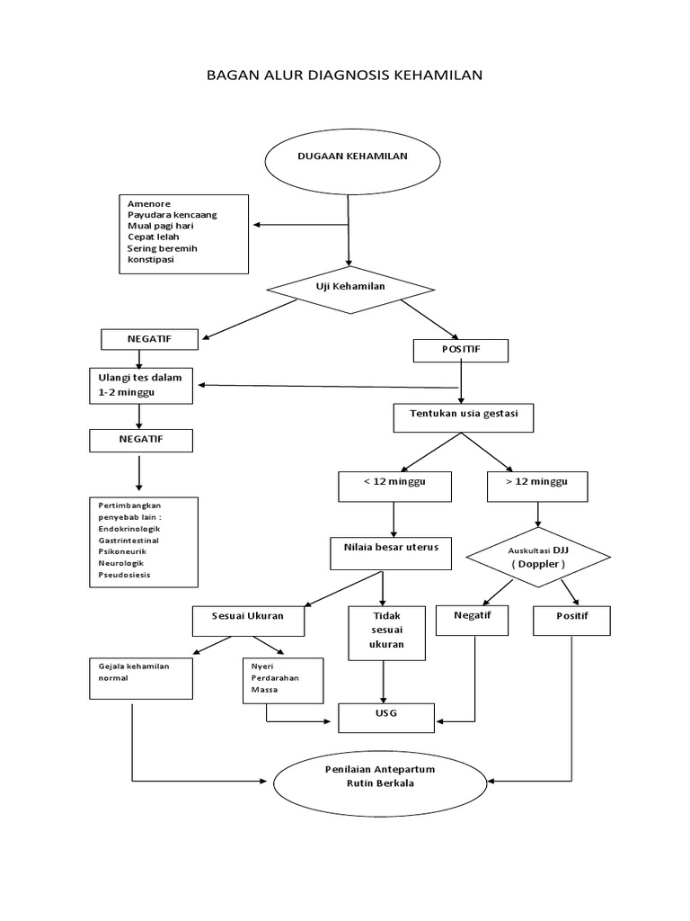 Bagan Alur Diagnosis Kehamilan