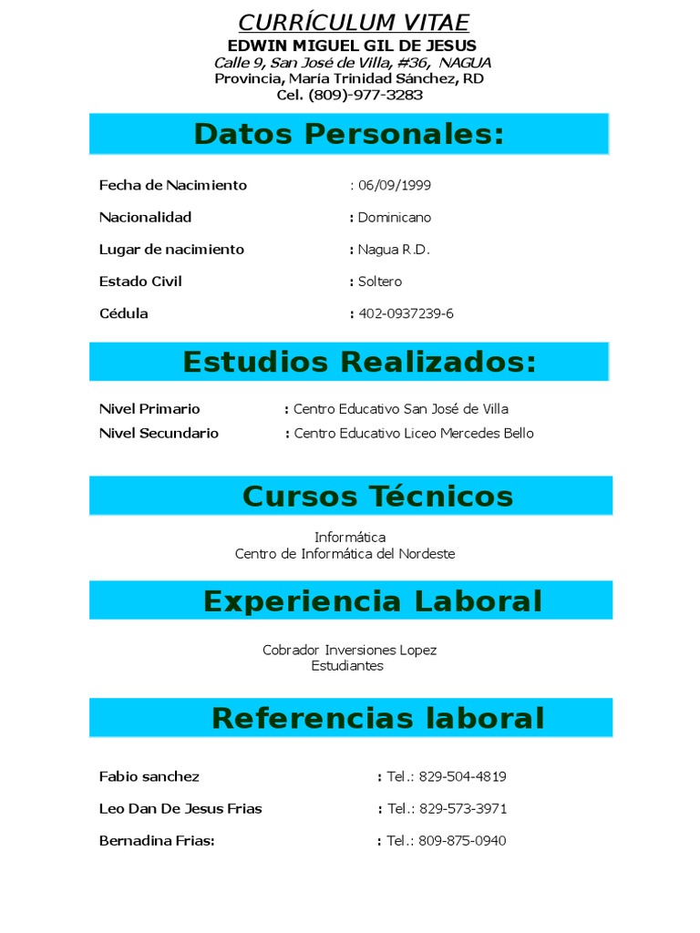 Curriculum Edwin | PDF