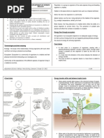Understanding Forest Stratification Layers | PDF | Canopy (Biology) | Trees