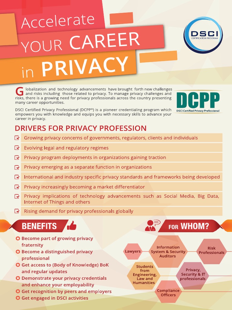 DCPP Flyer PDF | PDF