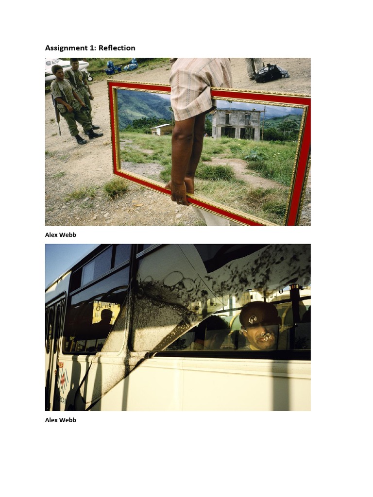 Assignment 1: Reflection: Alex Webb | PDF