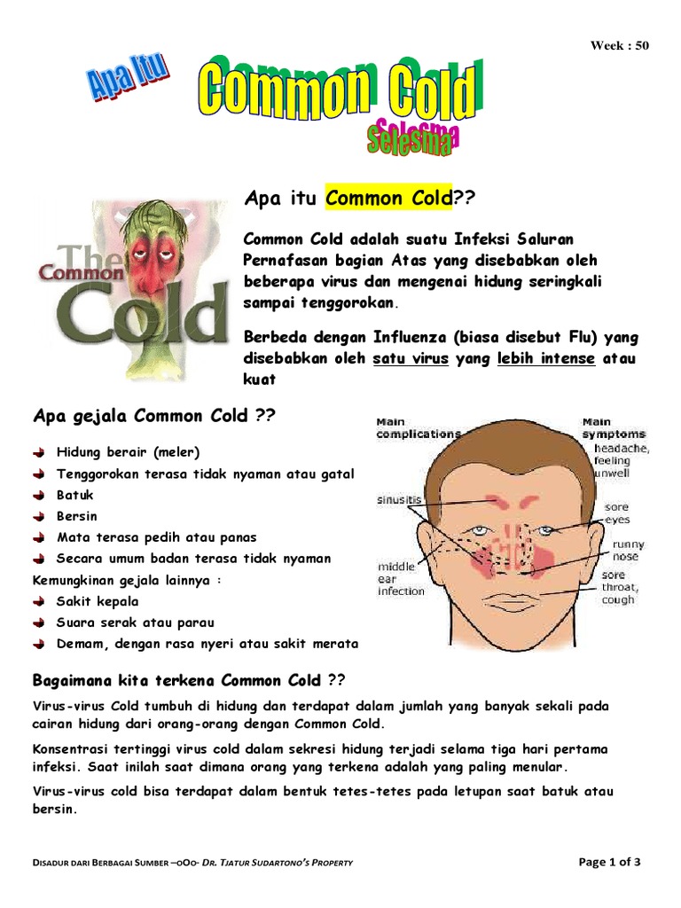 Apa Itu Common Cold | PDF | Pengembangan Diri | Kesehatan Holistik