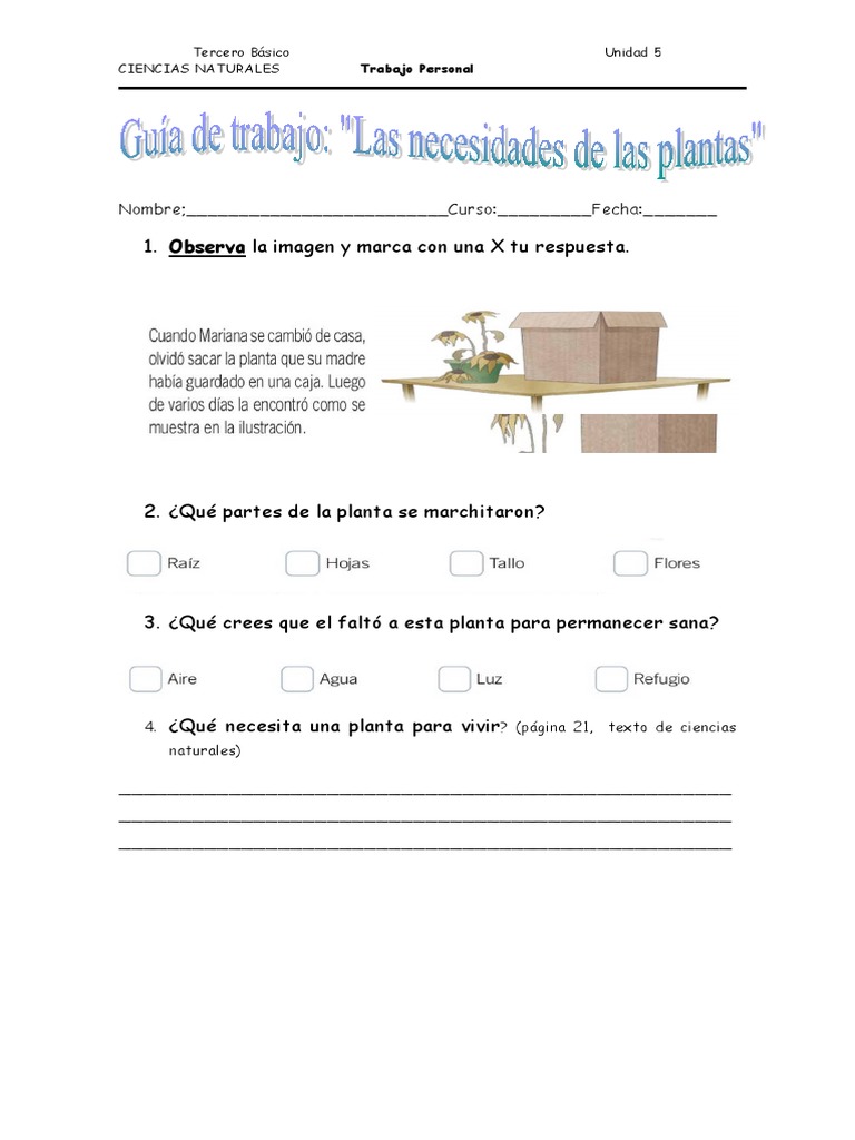 Guia Necesidades de Las Plantas | PDF | Ajedrez | Juegos y actividades