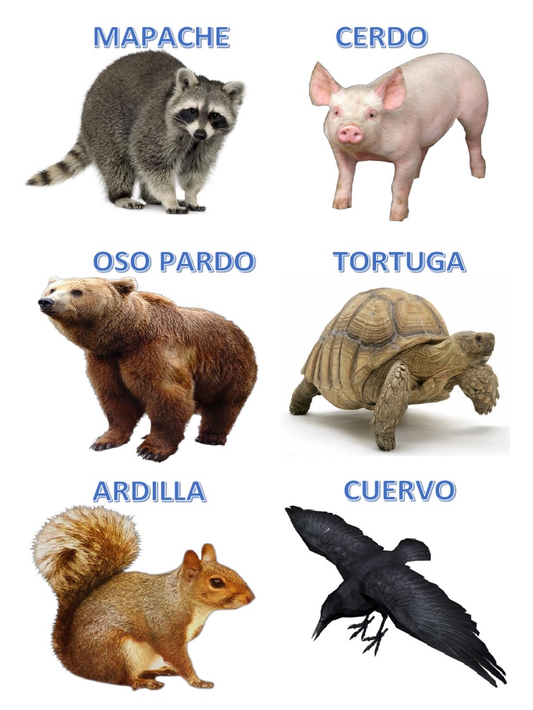 ANIMALES OMNIVOROS.docx