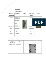 Kuinon: Struktur, Biosintesis, dan Manfaat | PDF
