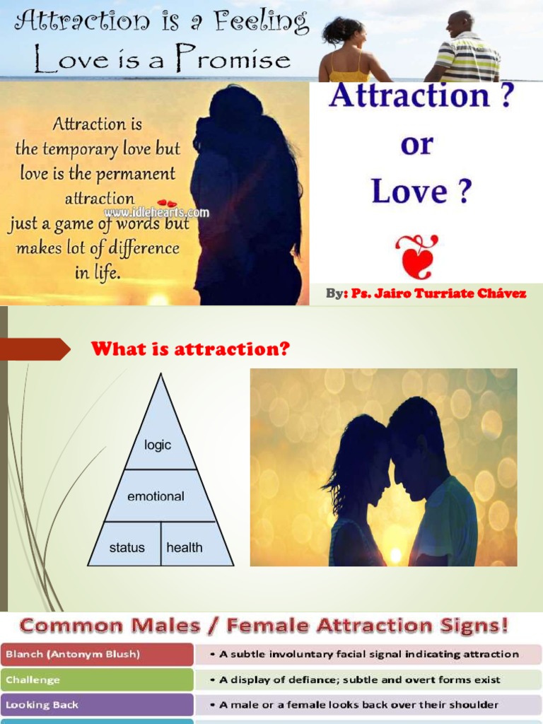 Love or Attraction - English Presentation | PDF | Social Science