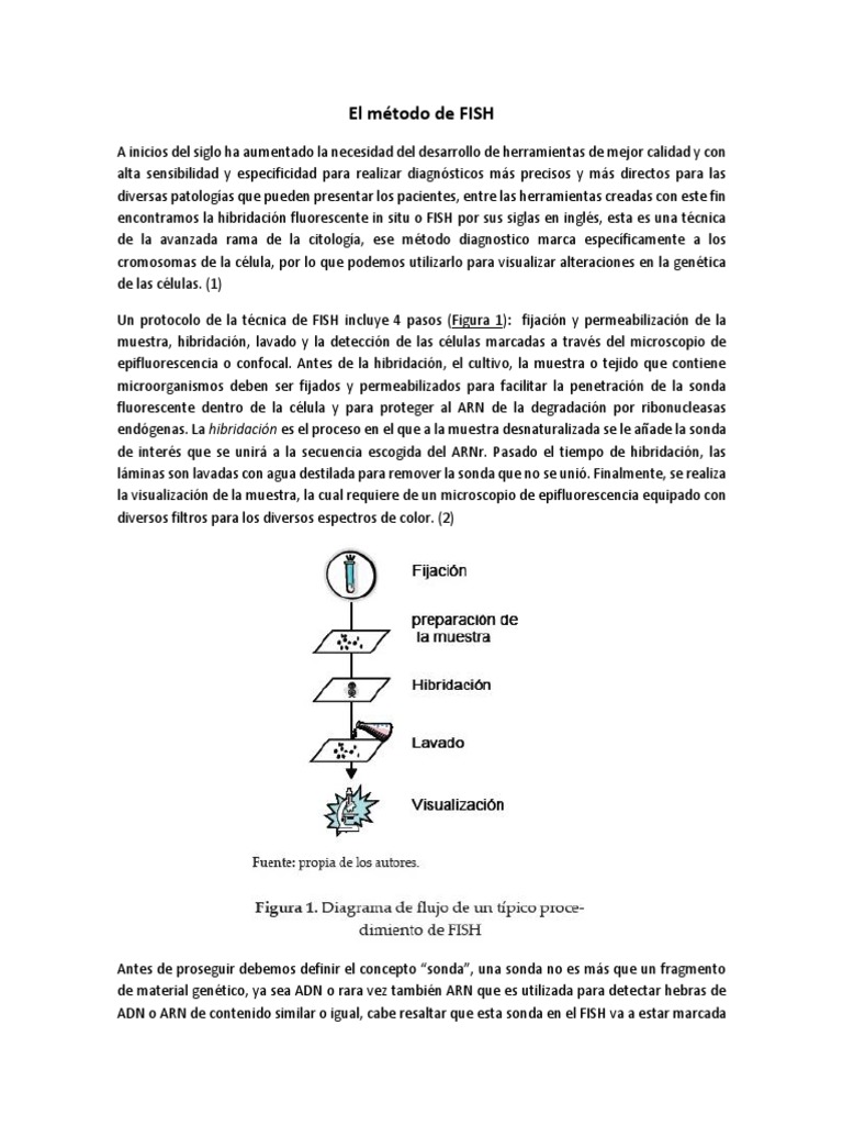 El Método de FISH | PDF | Hibridación in situ fluorescente ...