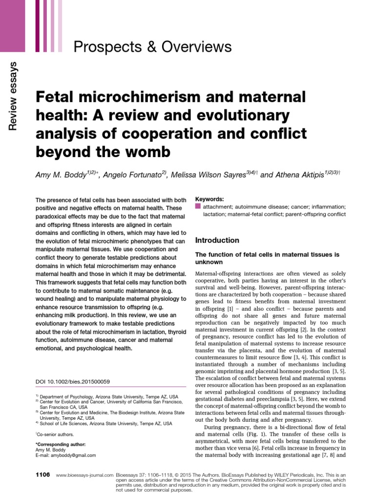 Fetal Microchimerism's Impact on Maternal Health | PDF | Fetus | Cancer