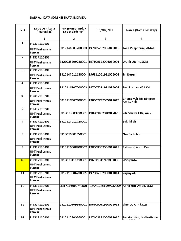 Data A1. Data SDM Kesehata Individu | PDF