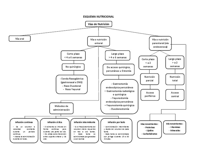 Esquema Nutricional | PDF | Nutrición | Dieta y nutrición