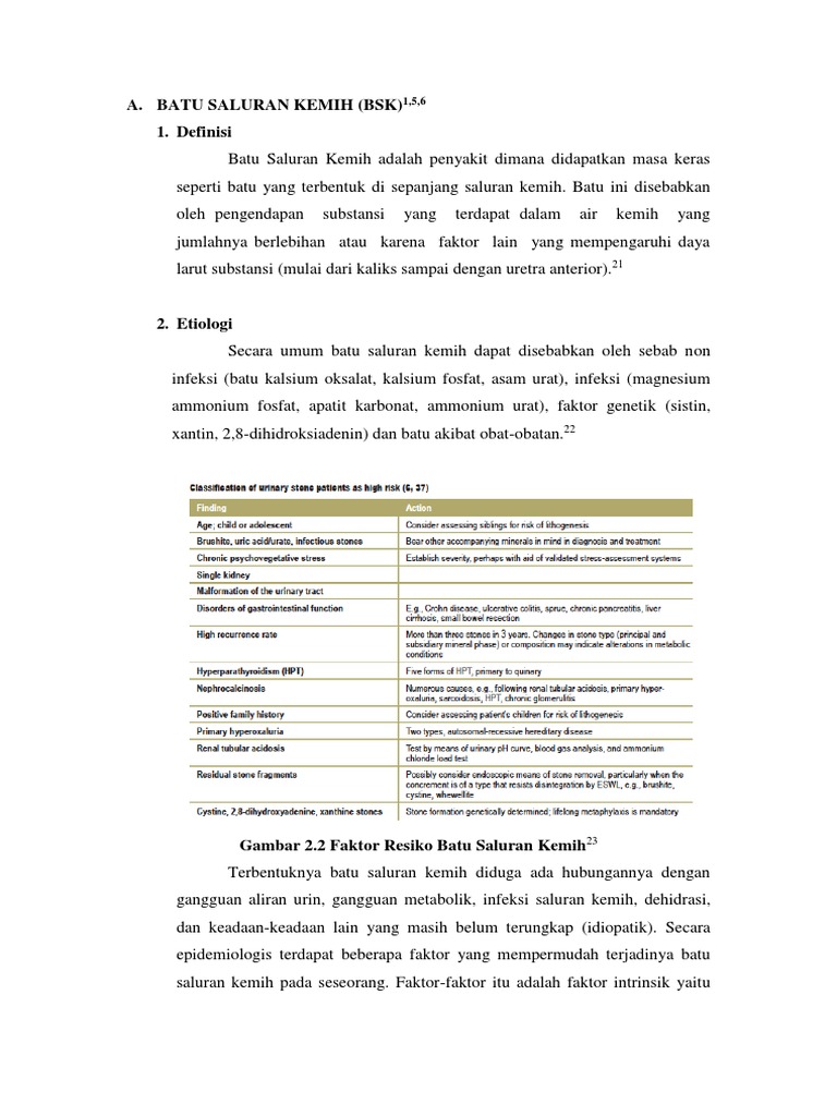 Batu Saluran Kemih | PDF