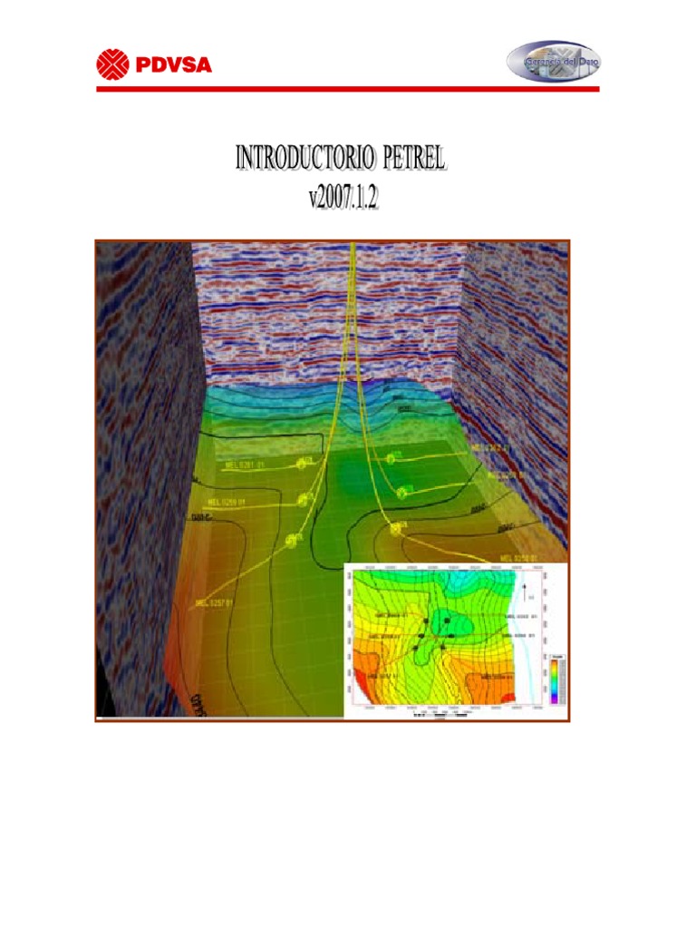 Manual Petrel Basico PDF | PDF | Archivo de computadora | Ventana (informática)
