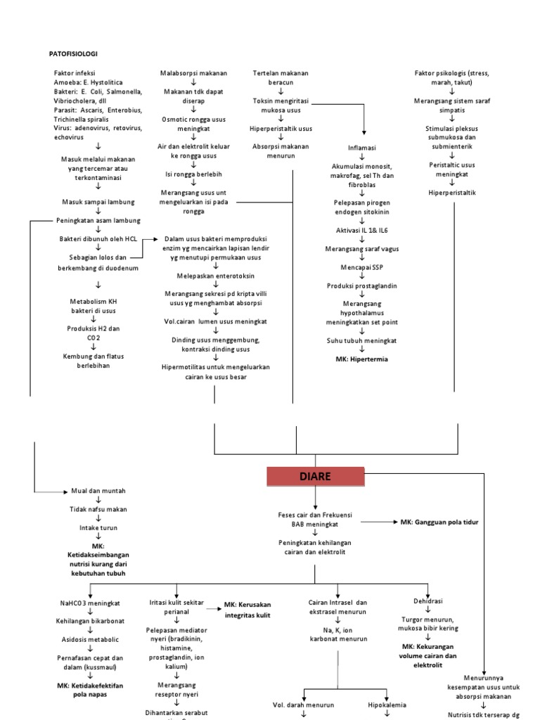 PATOFISIOLOGI-GASTROENTERITIS.pdf