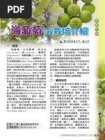 Ori Fancy Issue 2 | PDF