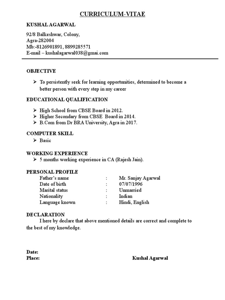 Curriculum-Vitae: Kushal Agarwal | PDF