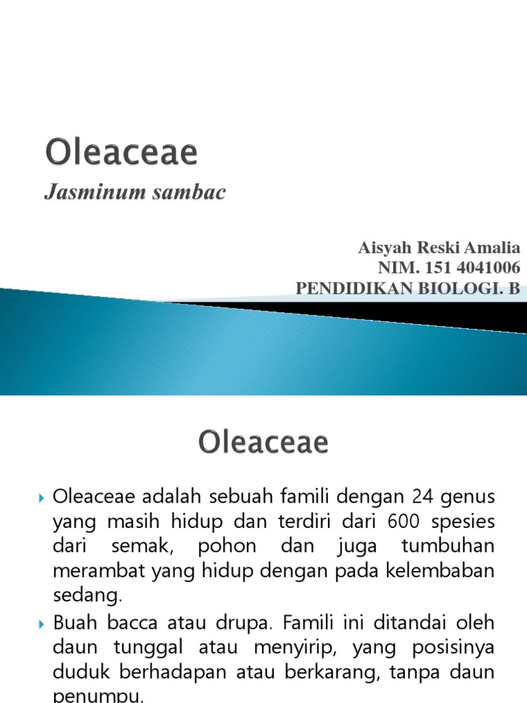 Karakteristik dan Spesies Famili Oleaceae | PDF | Sains & Matematika