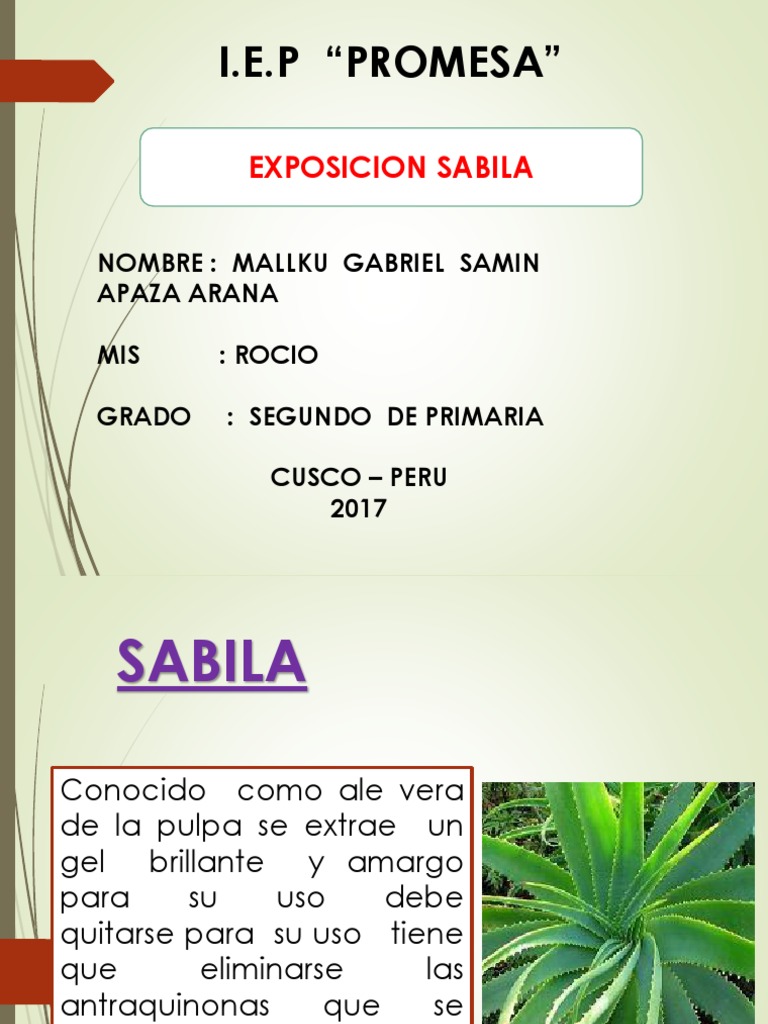 SABILA | PDF | Hogar, jardinería y bricolaje | Salud y bienestar