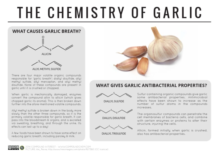 The Chemistry of Garlic | PDF | Garlic | Organic Chemistry