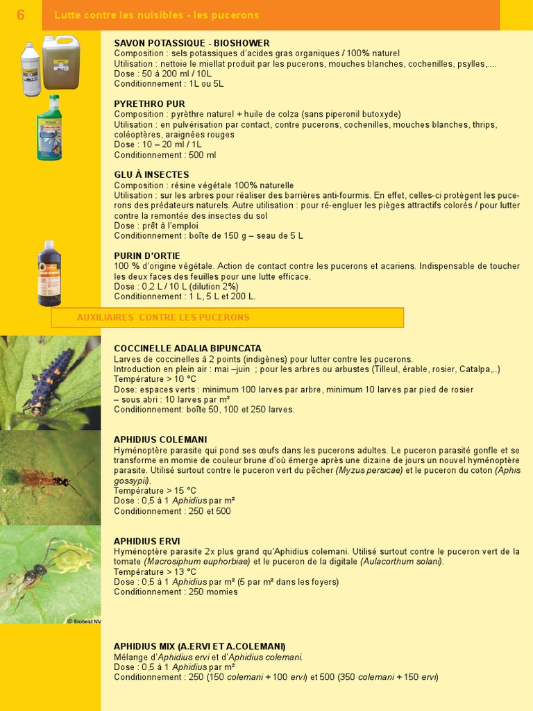 Lutte Contre Les Nuisibles | PDF | Coccinellidae | Insectes