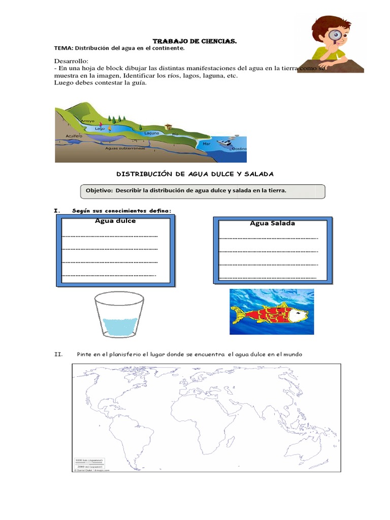 Guia Ciencias 5° Distribucion Del Agua | PDF