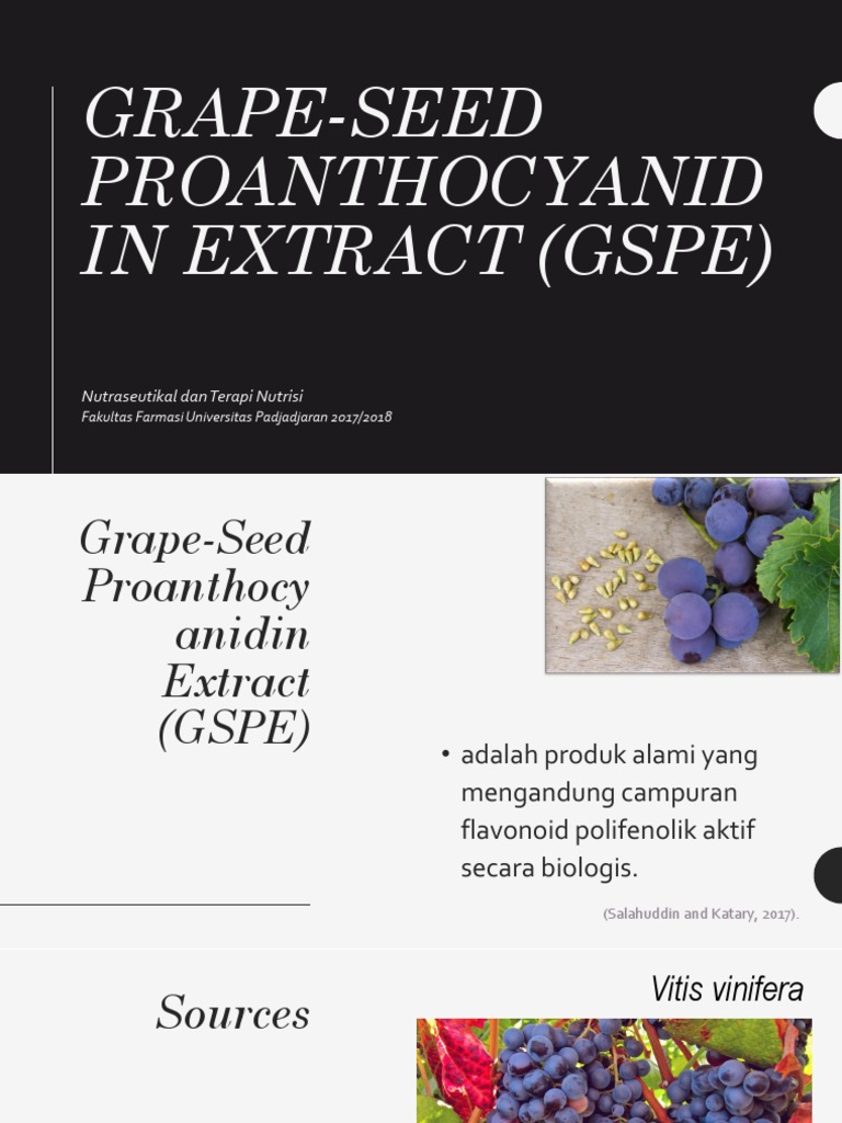 Kelompok 7 - Grape-Seed Proanthocyanidin Extract (GSPE) | PDF