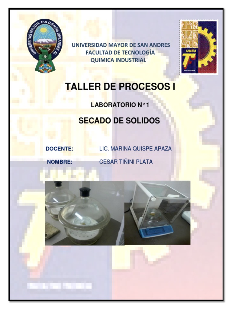 Secado de Solidos Taller de Procesos I 2 | PDF | Evaporación | Humedad