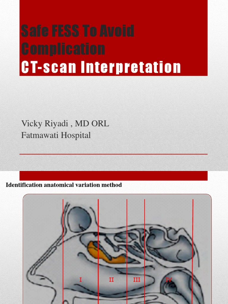 Anatomy Identification | PDF | Human Head And Neck | Medical Specialties