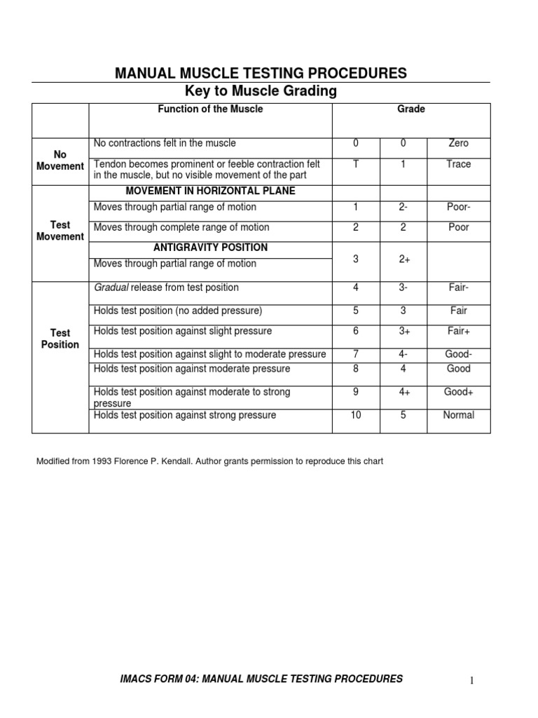 Manual Muscle Testing Grading Scale | PDF | Anatomical Terms Of Motion ...