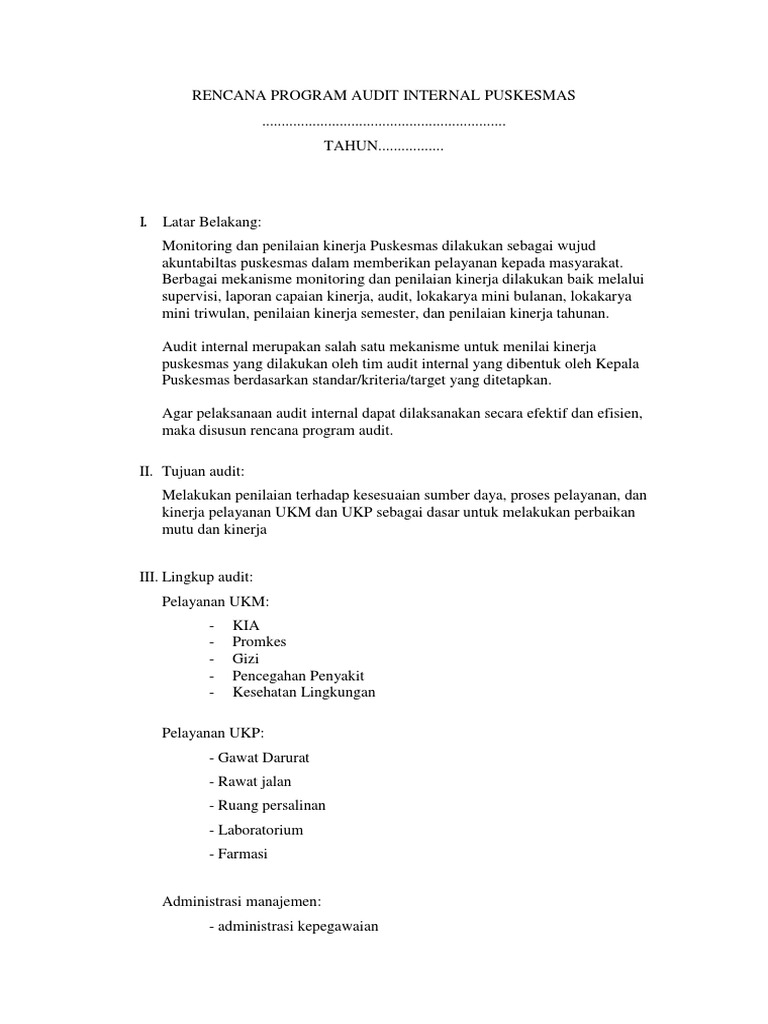 Contoh Template Rencana Program Audit Internal Puskesmas Dan Instrumen Audit | PDF