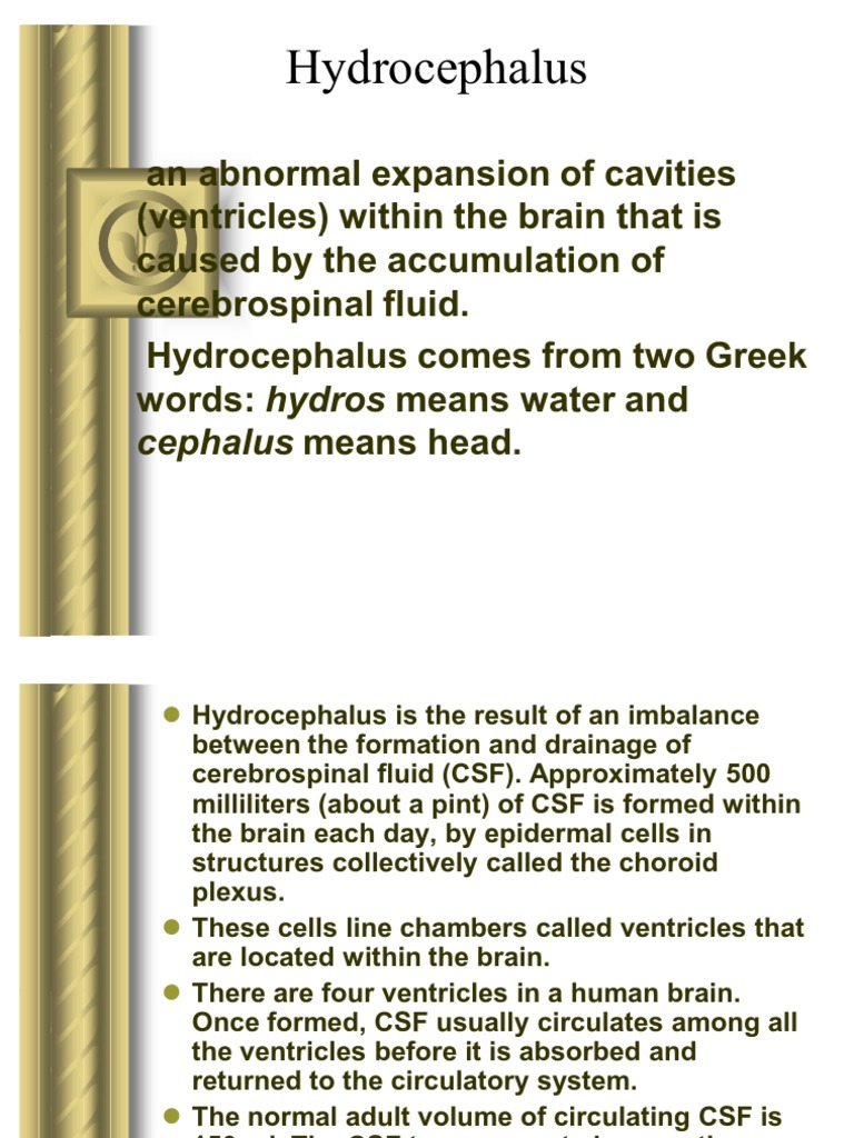 Hydrocephalus | PDF | Cerebrospinal Fluid | Organ (Anatomy)