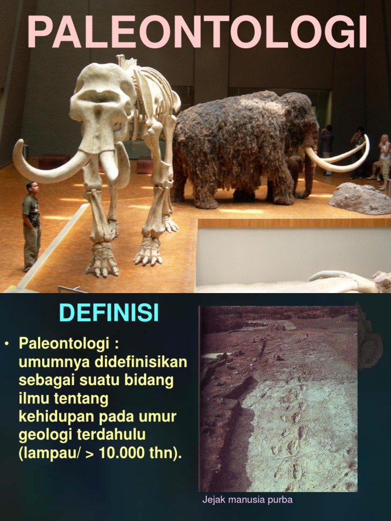 Paleontologi: Studi Fosil dan Sejarah Bumi | PDF | Ilmu Sosial