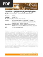 Niveles Axilares de Berg | PDF