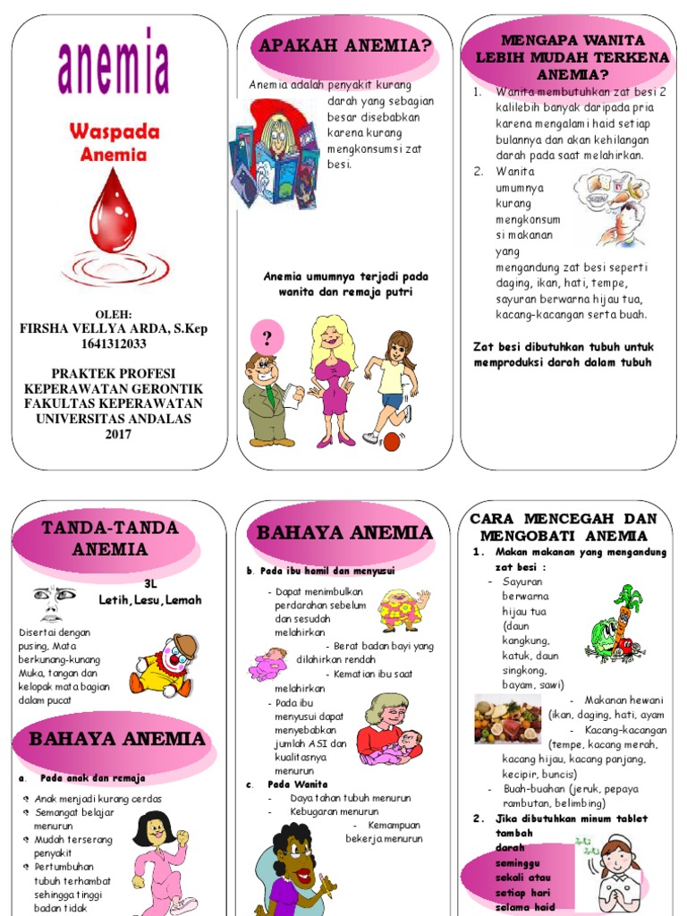 Leaflet Anemia | PDF