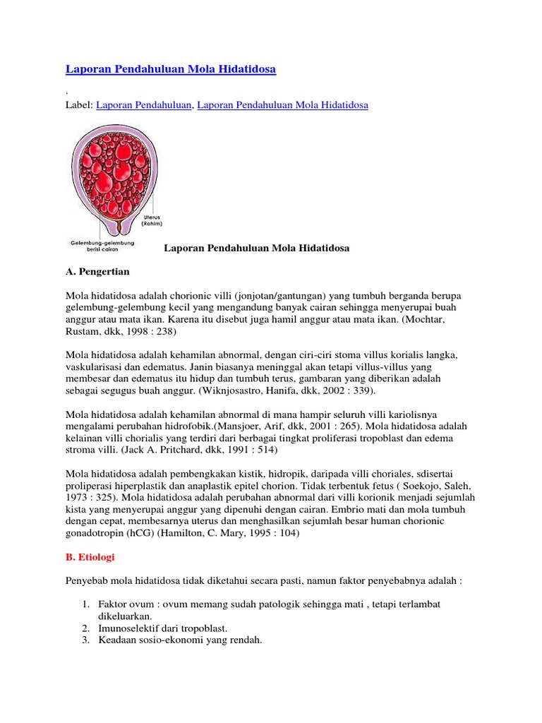 Askep Mola Hidatidosa | PDF