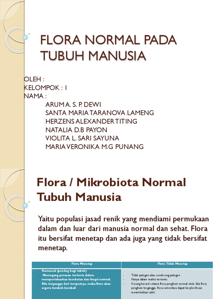 Flora Normal Pada Tubuh Manusia | PDF