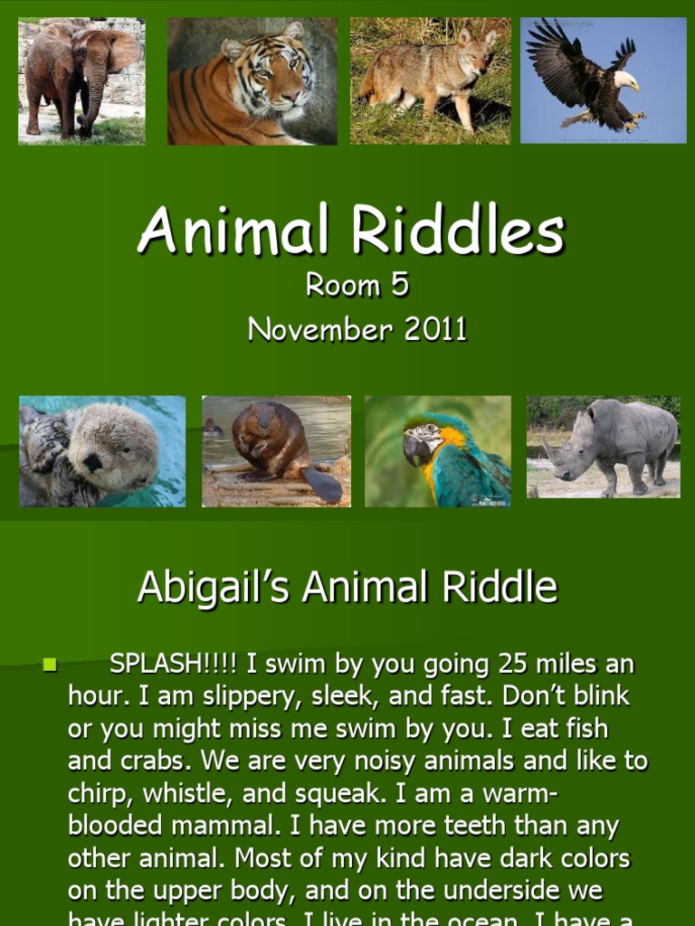 Animal Riddles Powerpoint | PDF | Elephant | Nature
