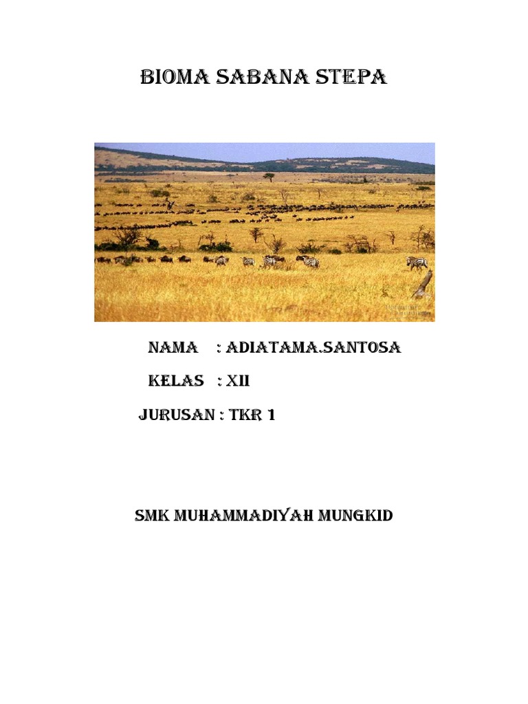 Bioma Sabana Stepaa | PDF