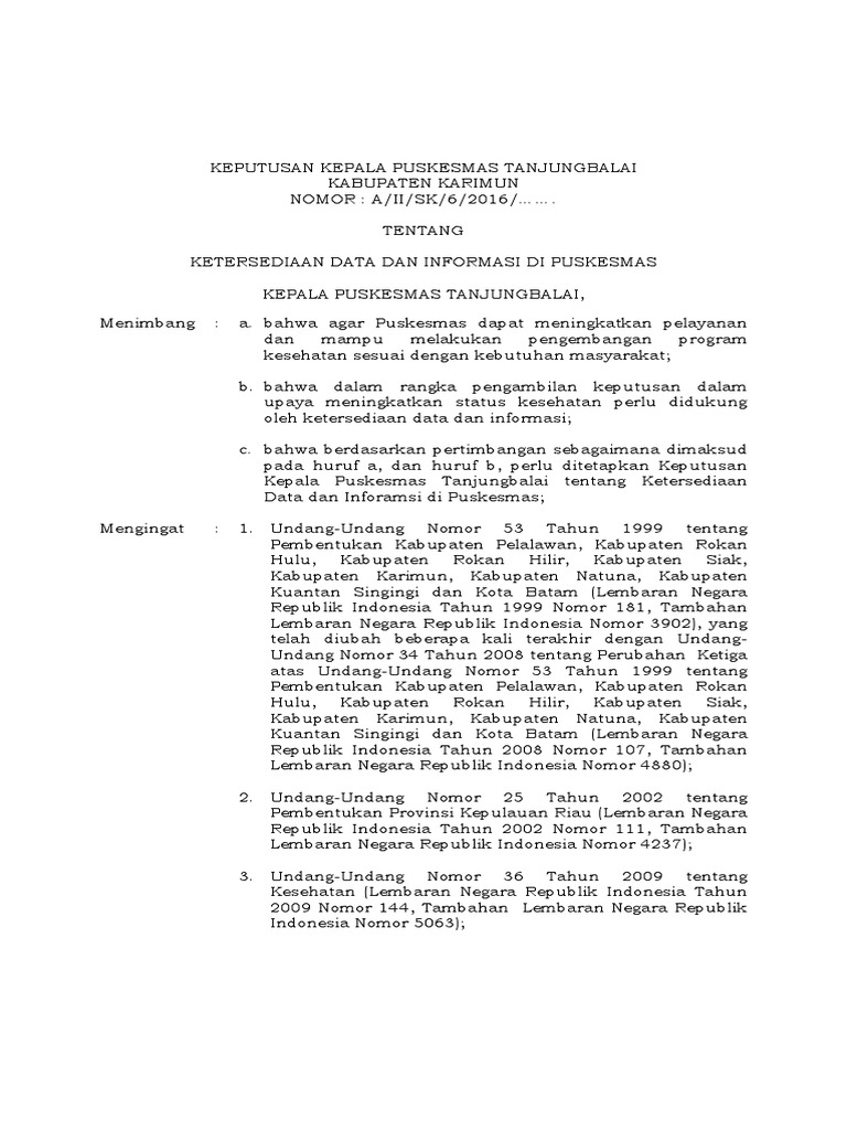 Contoh SK Ketersediaan Data Dan Informasi | PDF