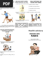 Rabies Flyers | PDF