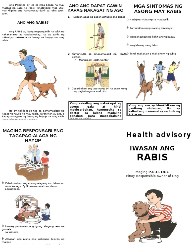 Rabies Flyers | PDF