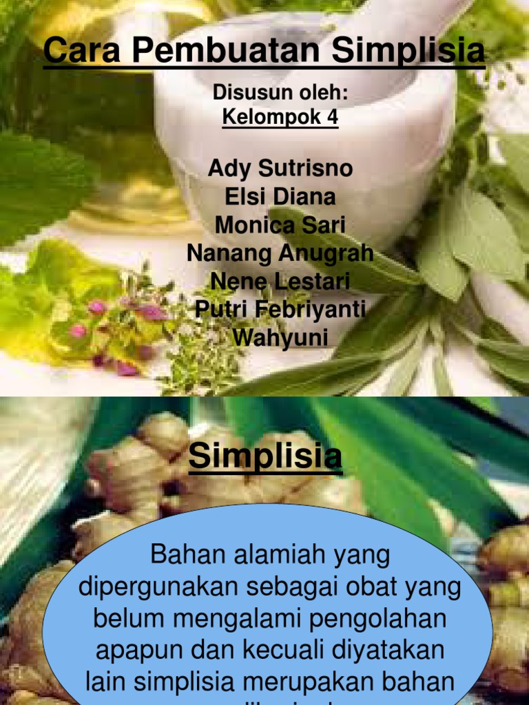 STANDARISASI SIMPLISIA | PDF