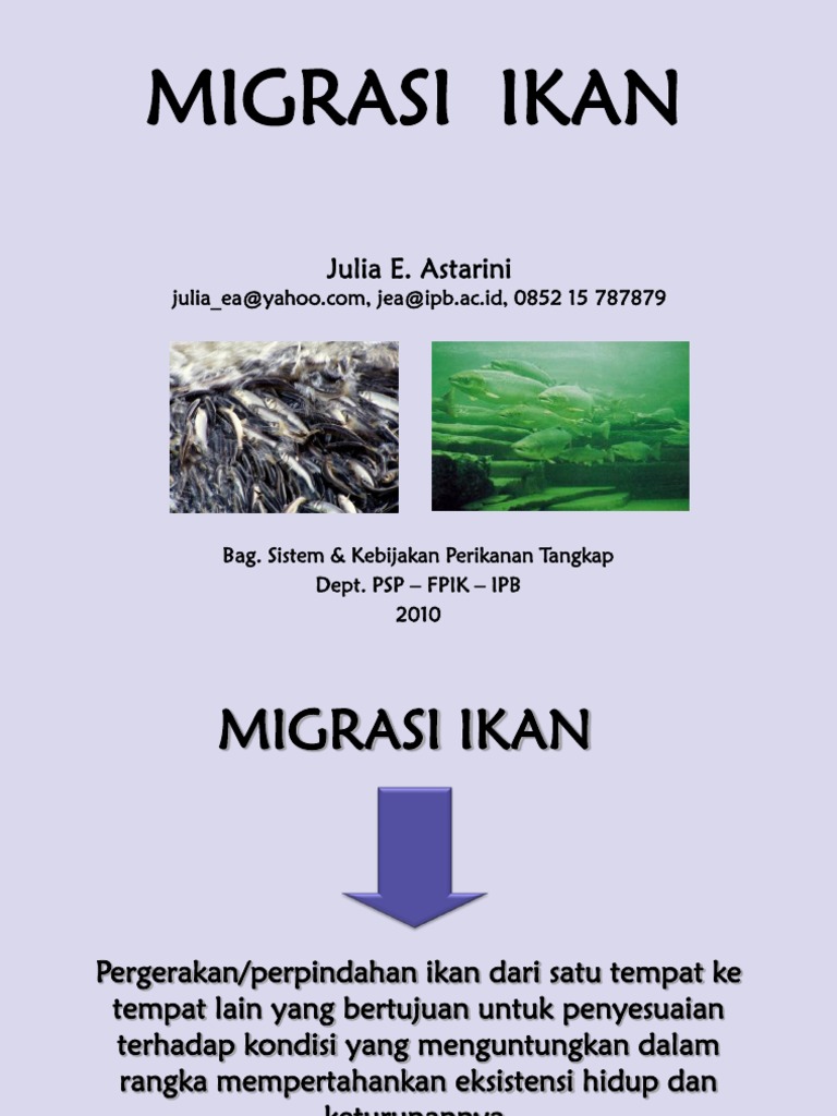 Migrasi Ikan | PDF