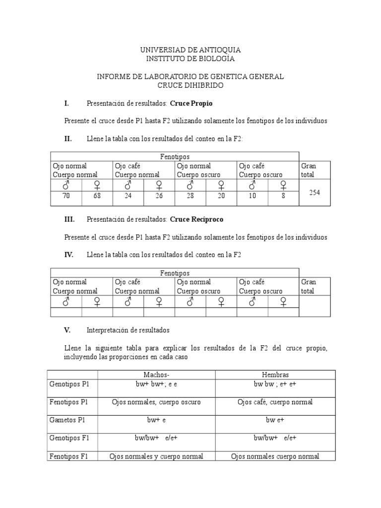 Informe Cruce Dihibrido | PDF | Fenotipo | Genética