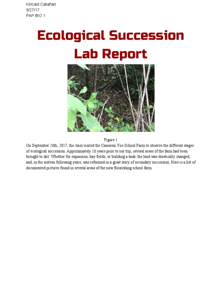 Ecological Succession Lab Report | PDF | Community Ecology ...