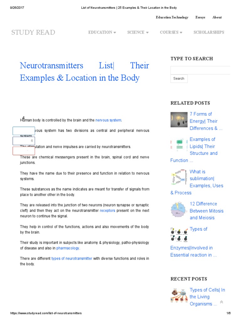 List of Neurotransmitters - 25 Examples & Their Location in The Body ...
