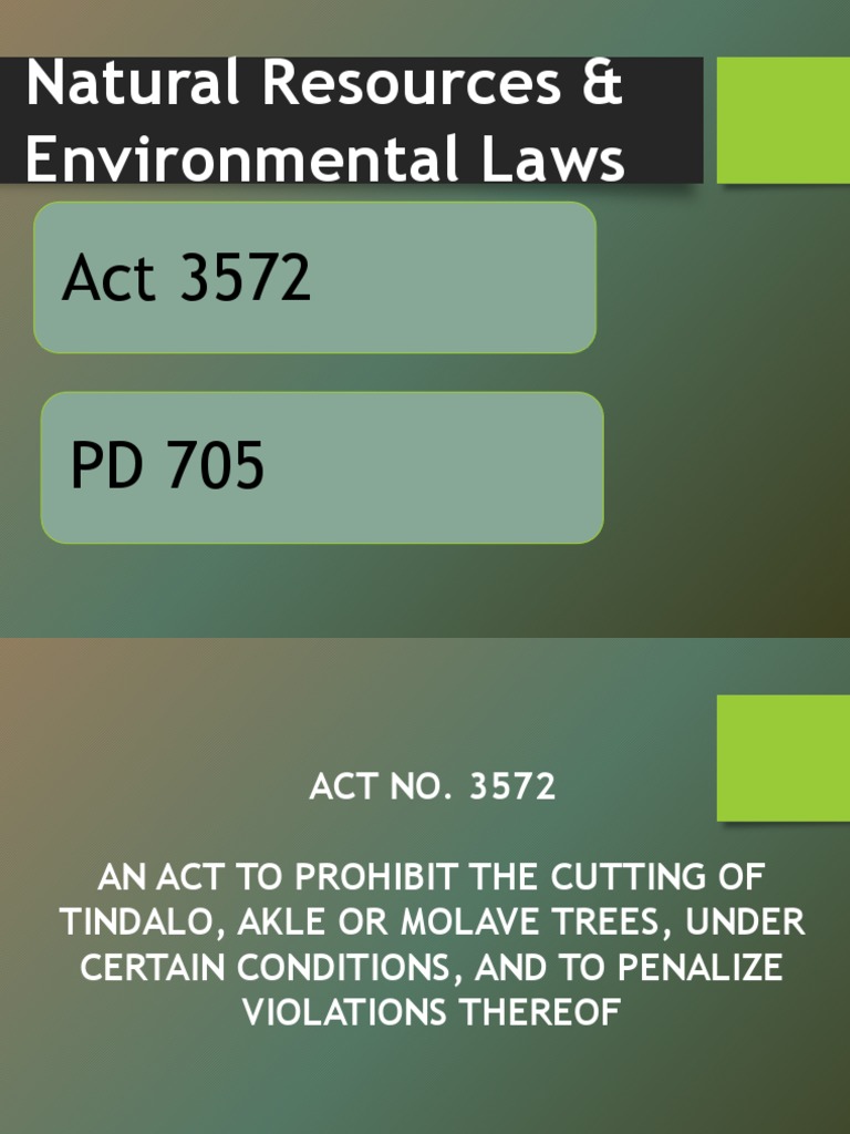 Act 3572 and PD 705 | PDF | Forestry | Fine (Penalty)