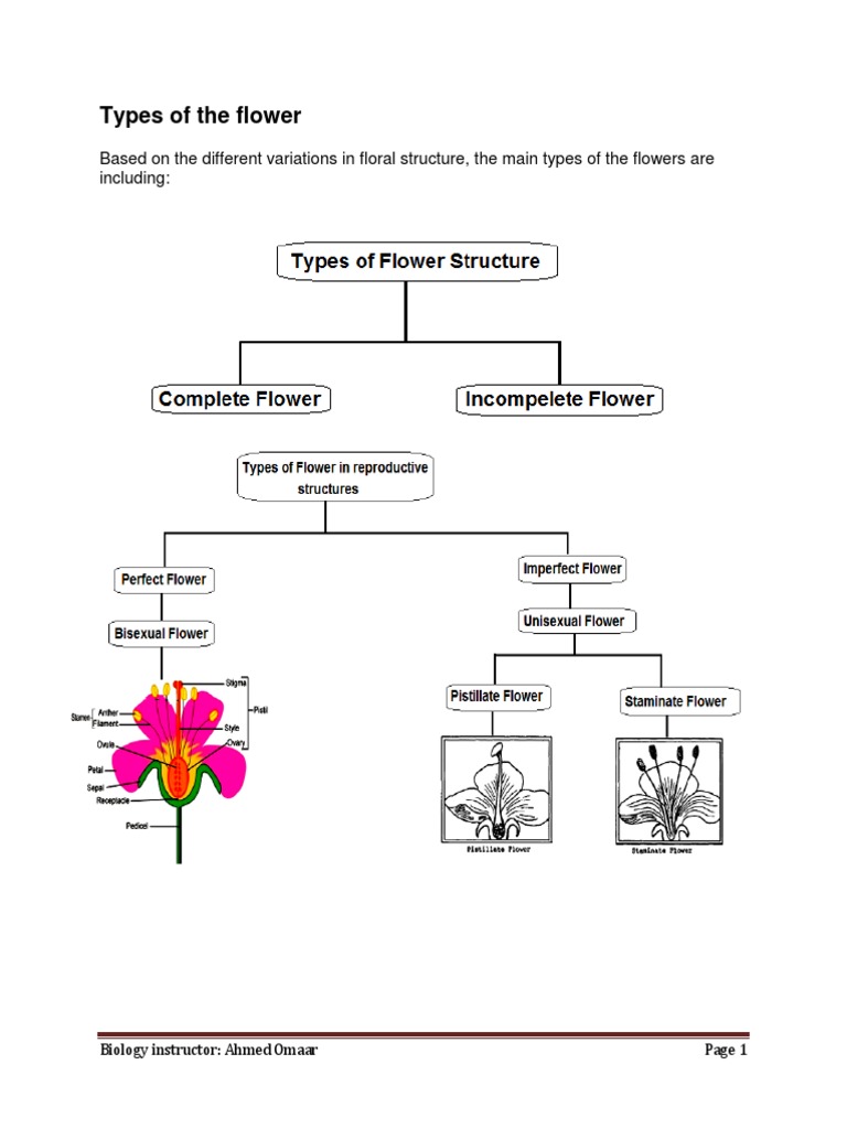Types of Flowers and Pistils Explained | PDF | Botany | Horticultural ...