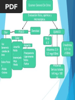 Mapa Conceptual EGO | PDF